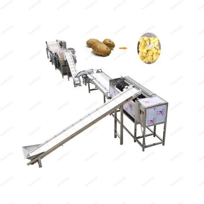 China OEM Grade 5 Fruit and Vegetable Grader Washing Machine Onion Garlic Fruit Sorter  Grader For Sale for sale