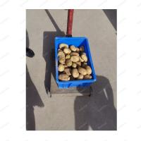 China Peach And Mango Sorting Machine Fully Automatic Fruit And Vegetable Grading Machine for sale