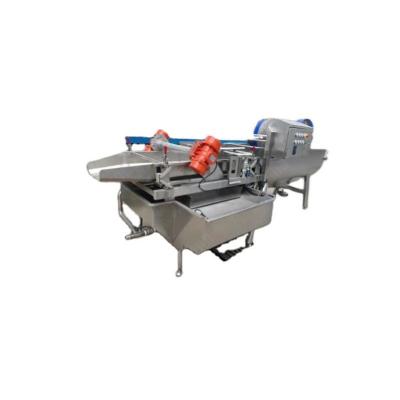 China SC Series Processing Line Easy operation potato washing plant/ vegetable bubble washing machine/ soybean washing machine for sale