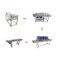 China Farm Leaf Vegetable Processing Line Leafy Vegetables Production Line for sale