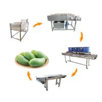 China Fruit And Vegetable Washing Machine for sale
