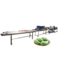 China Fruit And Vegetable Washing Machine for sale