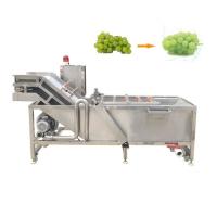China Salad Vegetable Eggshell Washing Machine Ce for sale