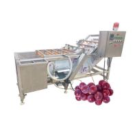 China Salad Vegetable Eggshell Washing Machine Ce for sale
