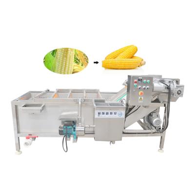 China Salad Vegetable  Portable Ultrasonic Washing Machine for sale