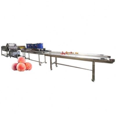 China Hot selling Factory Direct Fruit Processing Cleaning Machine by Huafood for sale