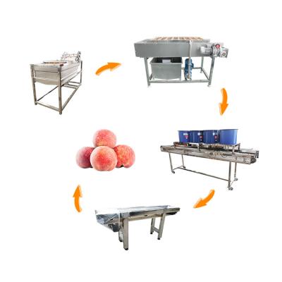 China Hot selling Home Cleaning Machine Fruit And Vegetable Washer by Huafood for sale