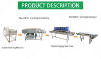 China Hot selling Multi-function Vegetable Washer Manual Loading by Huafood for sale
