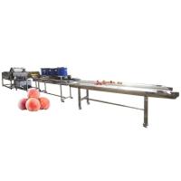 China Hot selling Multi-function Vegetable Washer Manual Loading by Huafood for sale
