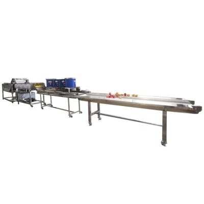 China Hot selling Commercial Eddy Current Type Vegetable Washer by Huafood for sale