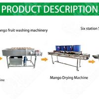 China Dates Soft Brush Cleaner Washer Machine Vegetable Fruit Washer Machine Mango Washer Machine for sale
