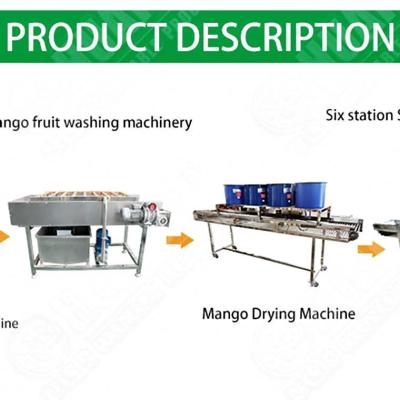 China Dates Palm Cleaning Polishing Machine Household Food Drying Machine Processing Line for sale