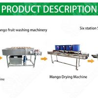 China Automatic Dates Machine Processing Line French Fries Dewatering Machine Lemon Washing Machine for sale