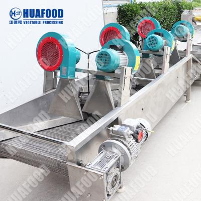 China Full Automatic Fruit Processing Machines Fully Automatic Washing Machine Bubble Cleaning Tomato for sale