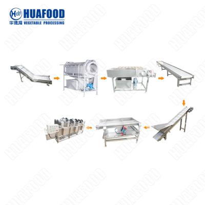 China Orange Squeezing Commercial Vegetable Washing Machine Fruit Washing Line for sale