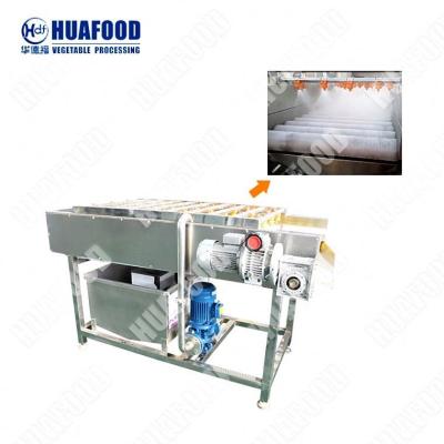 China Ozone Cleaning Of Tomatoes Cleaning Machine Pepper Chili Dry Cleaning Machine Strawberry Freezing Line for sale