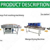 China Automatic Vegetable And Fruit Washing Machine Apple Juicer Machine Line for sale