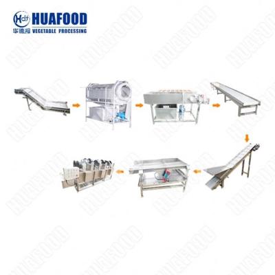 China Pepper Potatoes Automatic Brush Washing Machine Vegetable And Fruit Processing Line Vegetable Cleaner Equipment for sale