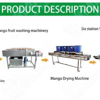 China Electric Automatic Vegetable And Fruit Washing Machine Tomato Processing Line for sale