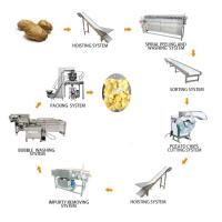 China Sweet potato washing cleaning sorting selecting processing line for sale