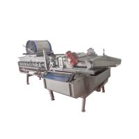 China eddie current washing machine for leafy vegetable for sale