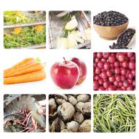 China new arrival grape washing and drying machine for sale