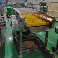 China Fruit and vegetable processing equipment/wool roller high pressure spray cleaning/brush cleaning machine parallel type for sale
