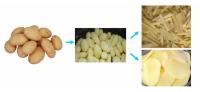 China Onion cutting washing drying processing line/Auto Onion dryer machine/vegetable machine for sale