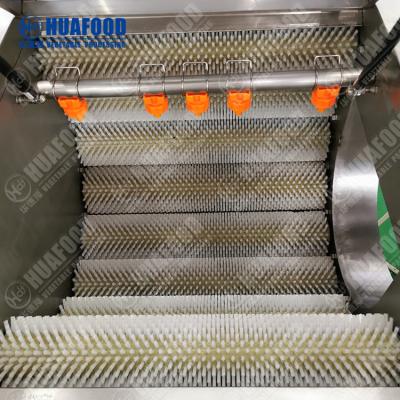 China Brush Washing Cleaning Peeling Machine Sugar Beets Washing And Peeling Machine Continuous Taro Washing Peeling Machine for sale