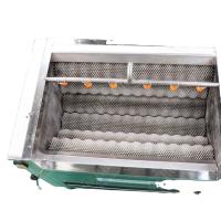 China Customized Cleaning Automatic Potato Hash Brown Make Skin Remove Machine for sale