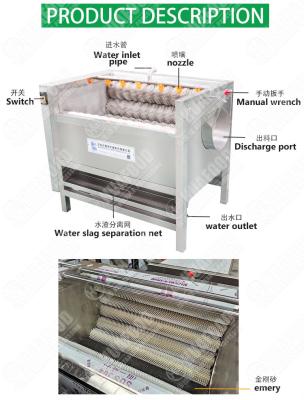China large capacity output oyster washing machine seafood shell cleaning machine for sale