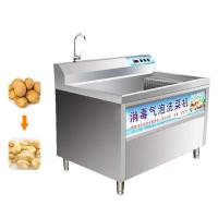 China Multi-Function Green Salad Washing Machine Italian for sale