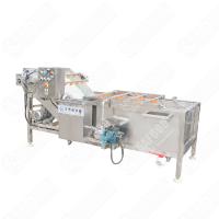 China Professional Automatic Restaurant Vortex Sugarcane Grape Washing Machine for sale