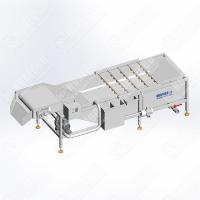 China Hot Multi-Function Fully Supermarket High Pressure Cherry Tomato Mini Washing Machine Automatic for sale