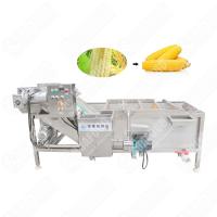 China Hot Multi-Function Washer Commercial Vortex Chili Automatic Washing Machine For Home for sale