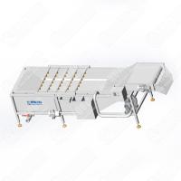 China Multi-Function Cleaner Restaurants Air Bubble Coconut Meat Crate Washing Machine for sale