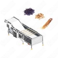 China Multifunctional Fully Automatic Restaurant Brush Type Grater Vegtable Washing Machine for sale