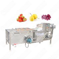 China Multifunctional Fully Automatic Restaurant Brush Type Grater Vegtable Washing Machine for sale
