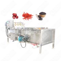 China New Product Restaurant Vortex Vegetables Automatic Eggs Washing Machine for sale