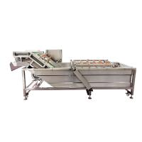 China Radish Vending Machine For Washing Machine Malaysia for sale