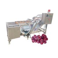 China Small Potato Automatic Gluten Washing Machine Malaysia for sale