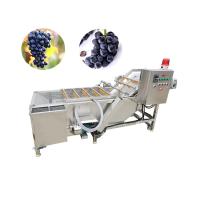 China Small Potato Automatic Gluten Washing Machine Malaysia for sale