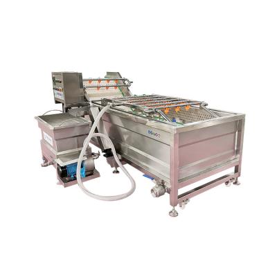 China Fresh Corn Ginger Washing And Slicing Machine Guangzhou for sale