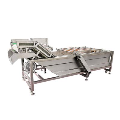 Hazelnut Hydro Washing Machine With High Quality