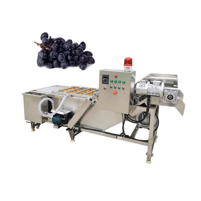 China Hazelnut Hydro Washing Machine With High Quality for sale