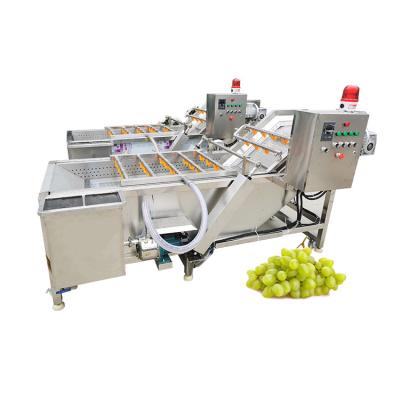 China Hazelnut Hydro Washing Machine With High Quality for sale