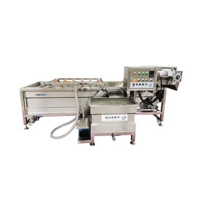 China Hazelnut Hydro Washing Machine With High Quality for sale