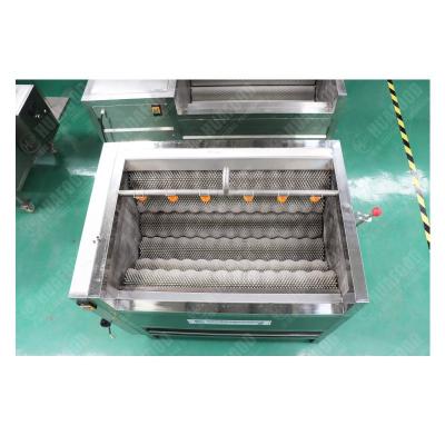 Professional Chicken Washing Machine Ningbo