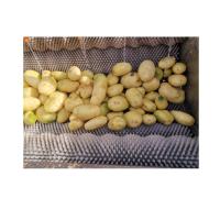 China High Efficiency 2000 Pcs Eggs Cleaner Washers Guangzhou for sale