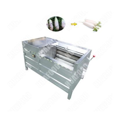 Easy Operation Radish Cleaning Machine Minitype
